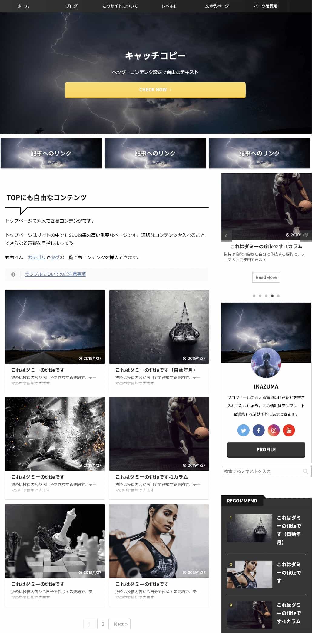 【AFFINGER PACK3】AFFINGER 5 EXとWING比較｜特典付き！STINGERタグ管理プラグイン - モノグロ｜monogrow